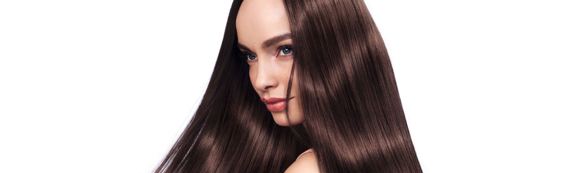 NUEVO ELVIVE DREAM LISO