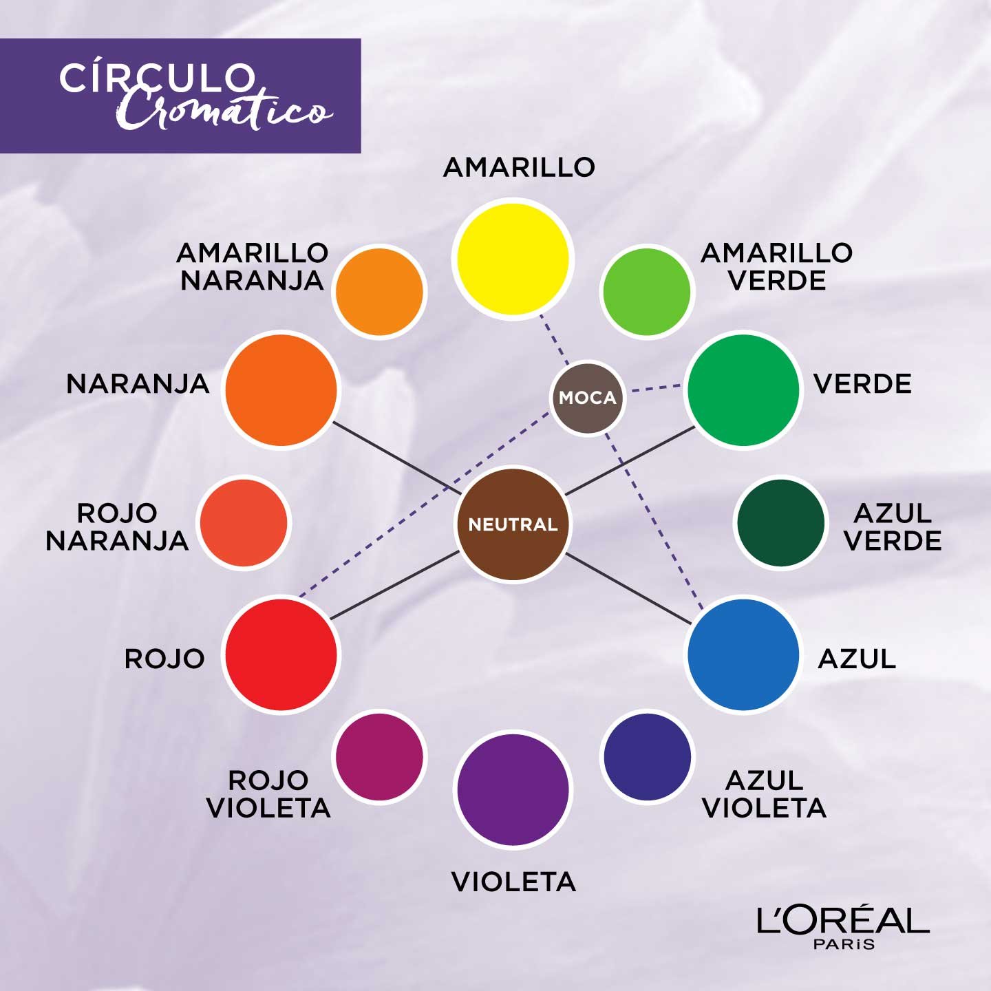 Descubre el tip de experto para coloración | L'Oréal Paris