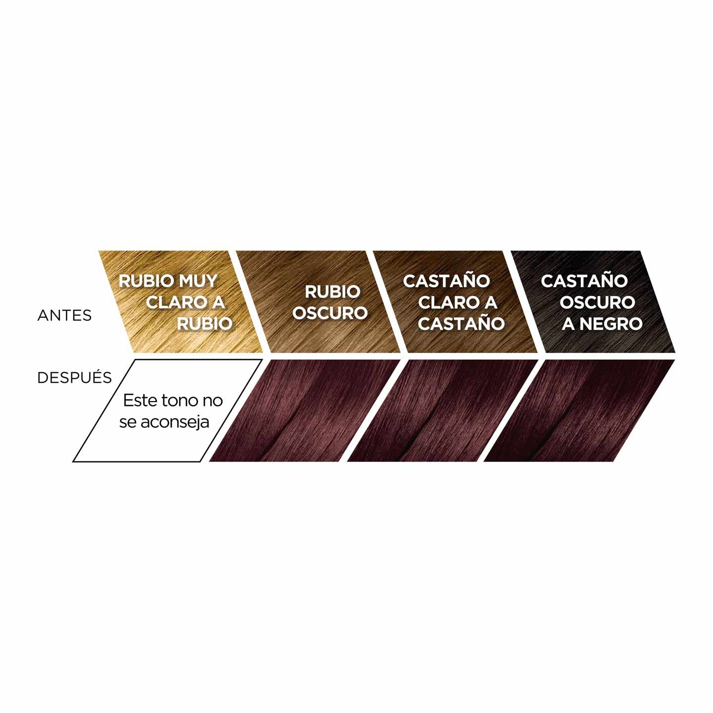 Queen Reds Preference 3.66 Guinda Rojizo Violeta | L'Oréal Paris